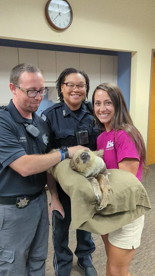 Summer Library Program — Hancock County Library System