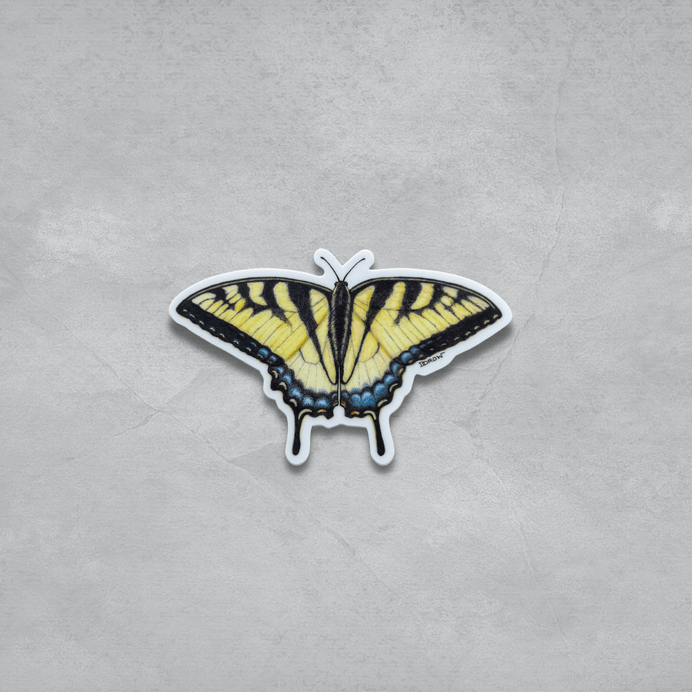 Eastern Tiger Swallowtail Butterfly Card — Wild Cherry Farm