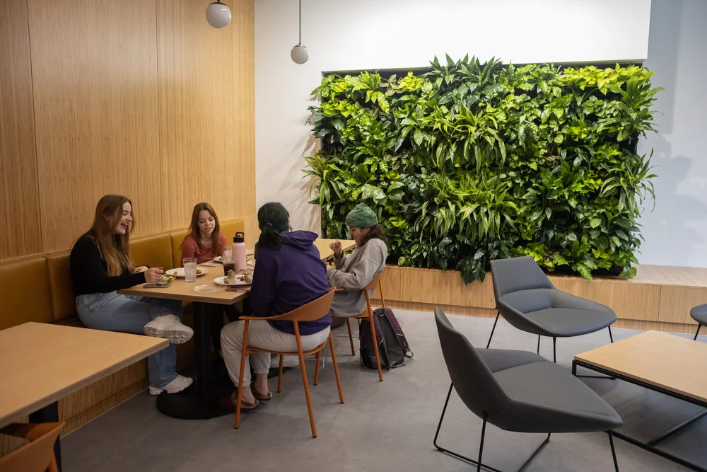 Anderson Dining Hall — ChathamU for You Self-Guided Tour