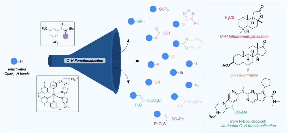 Research — Alexanian Group at UNC