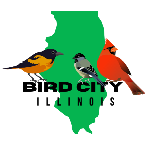 Bird City Illinois — Audubon Council of Illinois