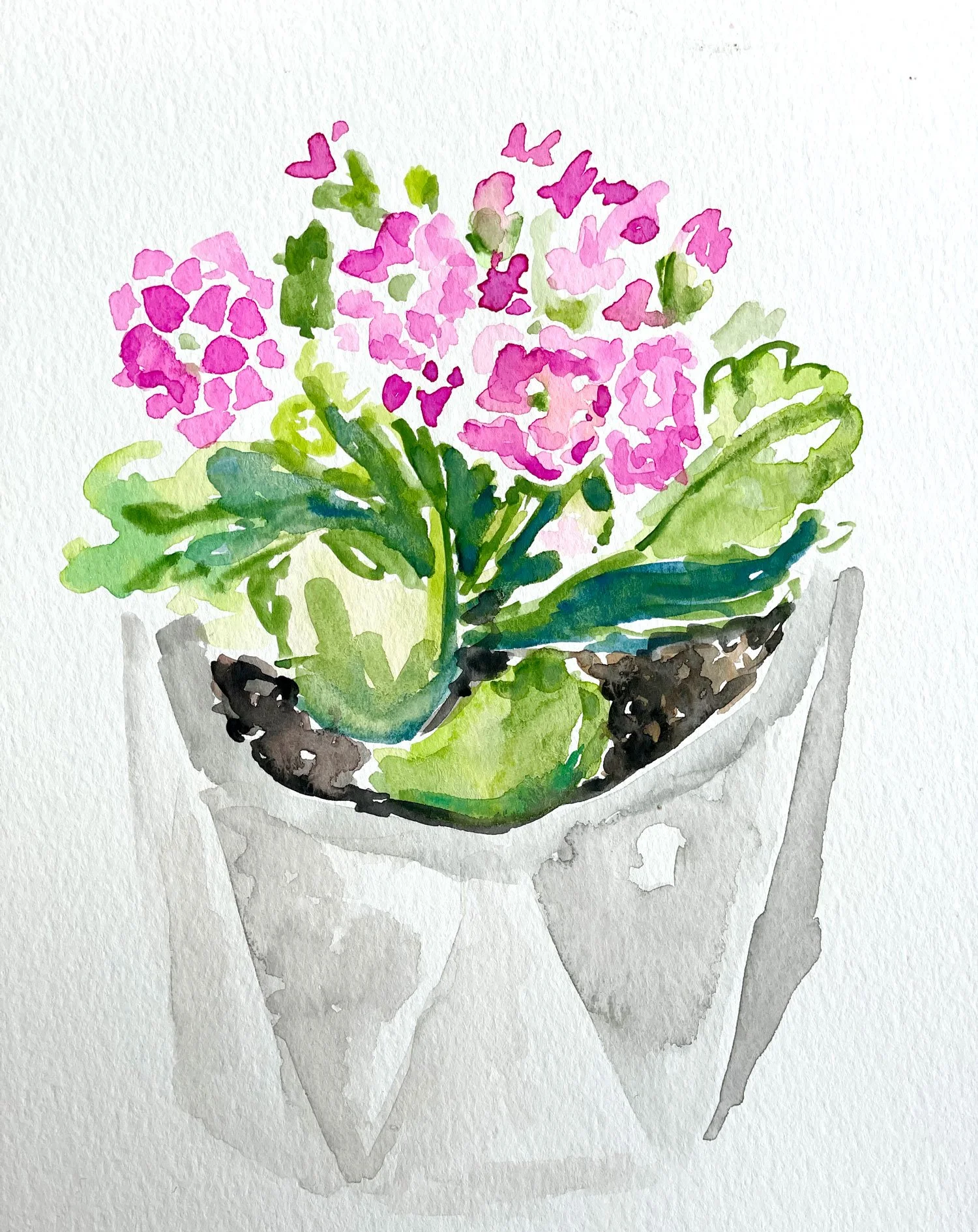 Valentine’s Day Plant | Pine & Feather Studio