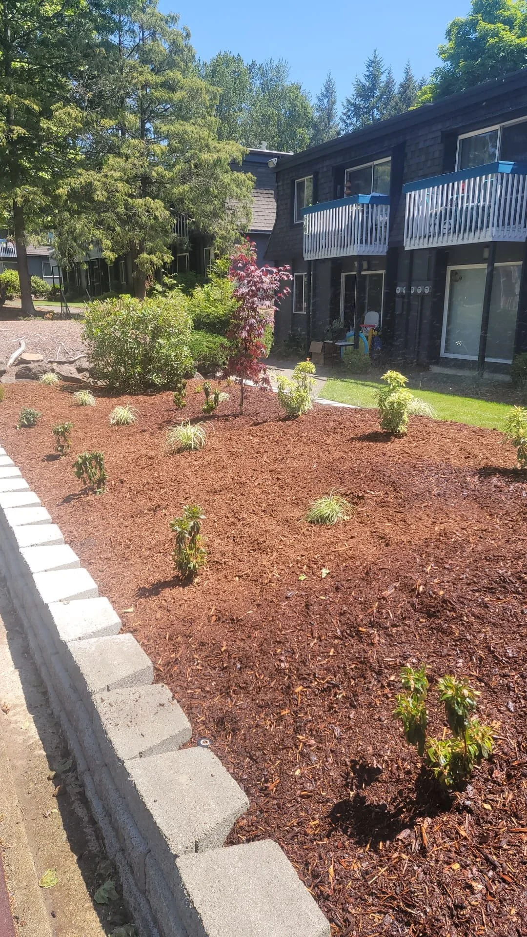 Gallery — A & M Landscape LLC