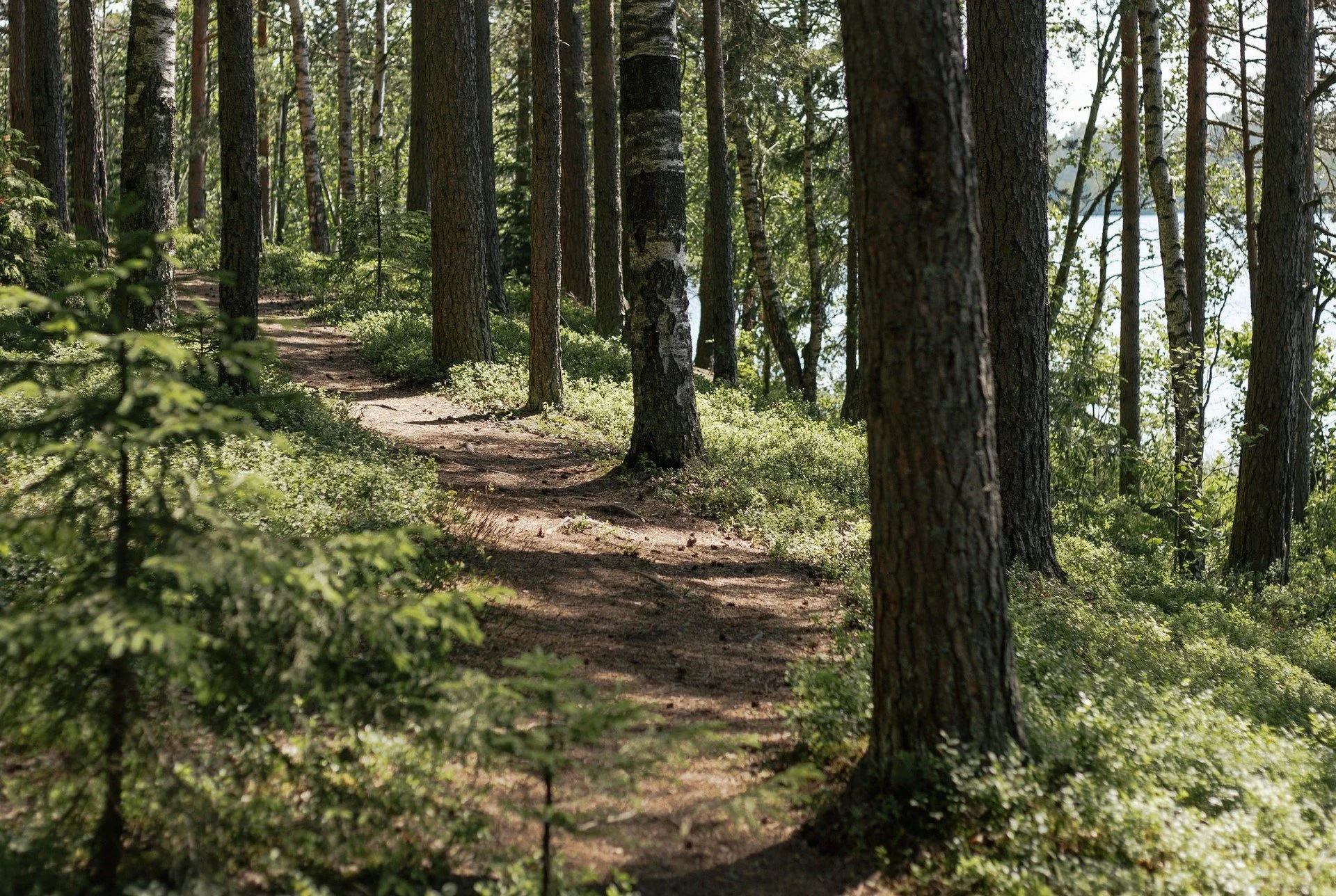 About — Bobby Mooney, LCPC