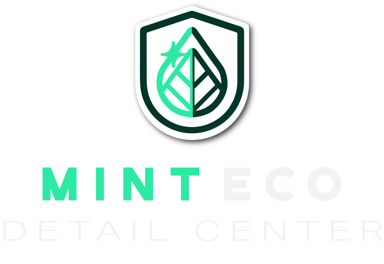 Detail Services — Mint Eco Car Wash and Detail Center