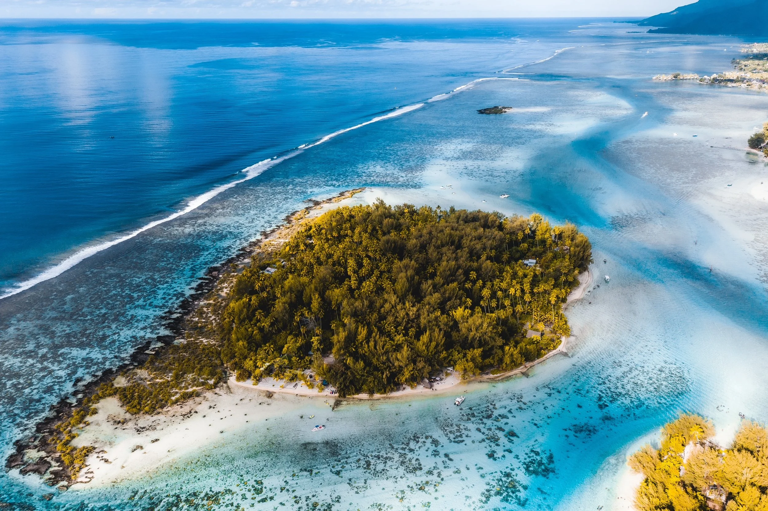 About 5 — Cocobeach Moorea