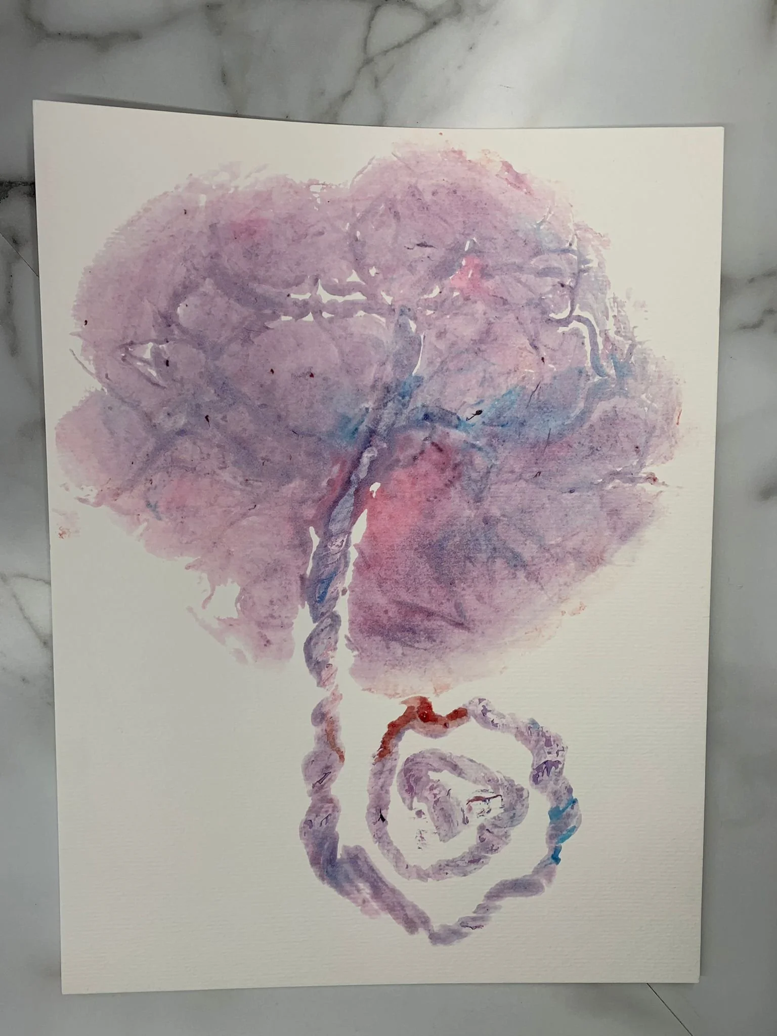 Placenta Encapsulation — Holistic Heritage Birth Services