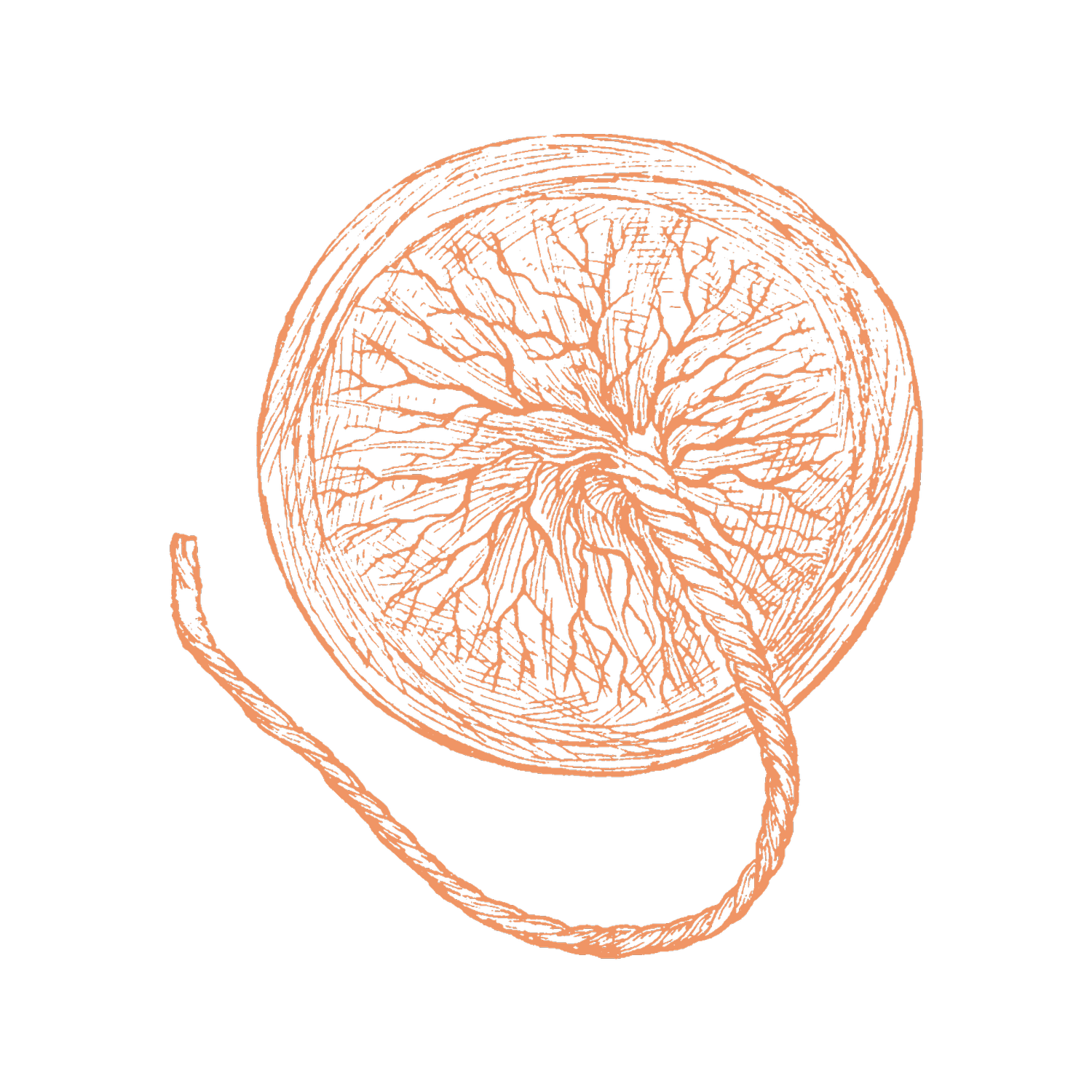 Placenta Encapsulation {+ other options} — Holistic Heritage Birth Services