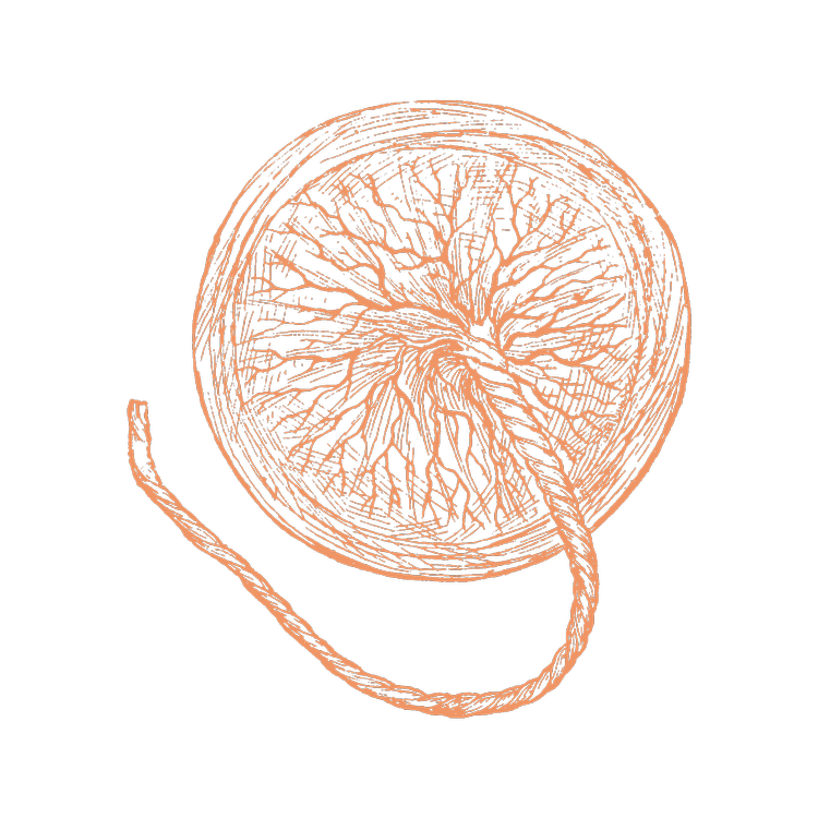 Placenta Encapsulation {+ other options} — Holistic Heritage Birth Services