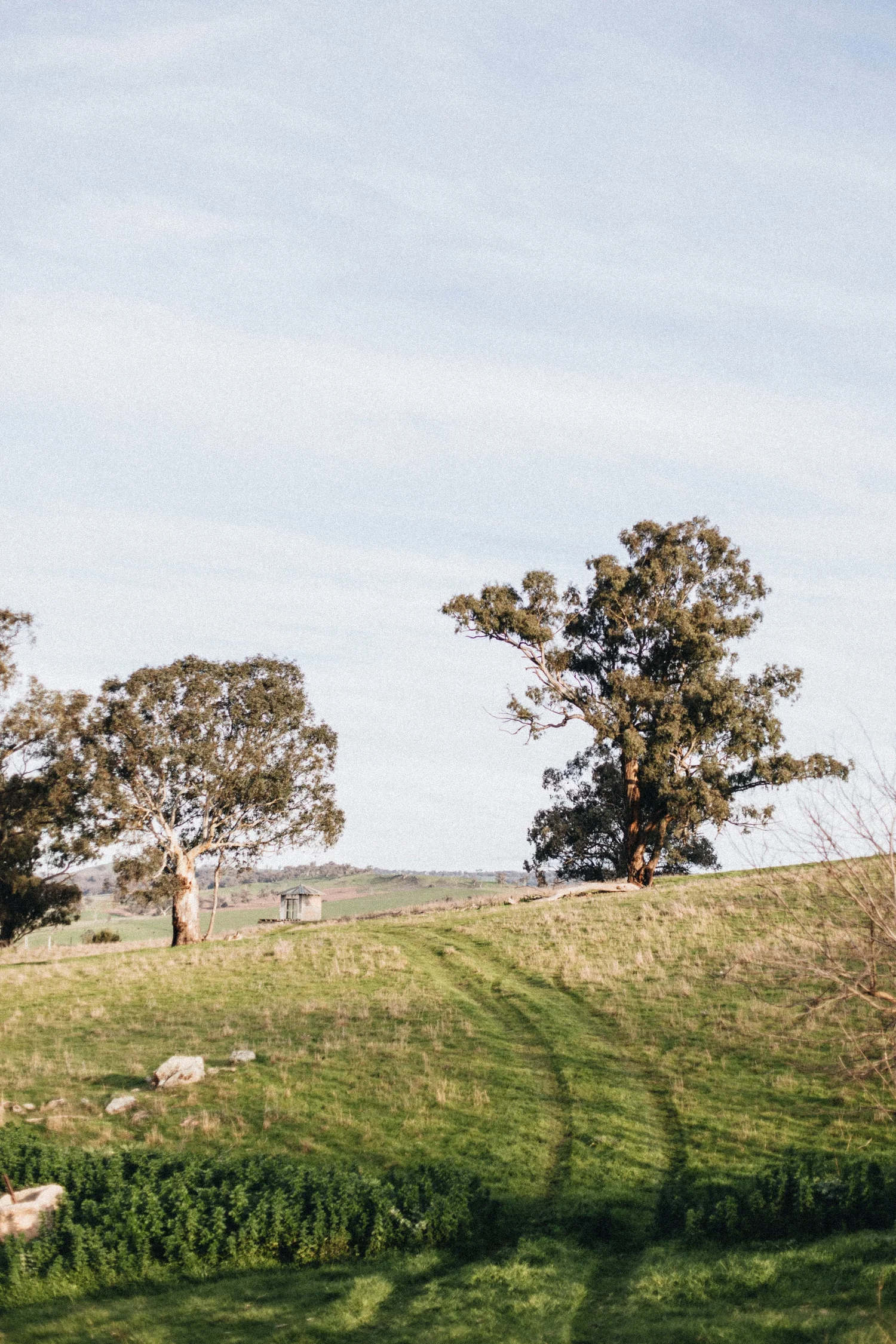 GALLERY — The Quarters. Jugiong