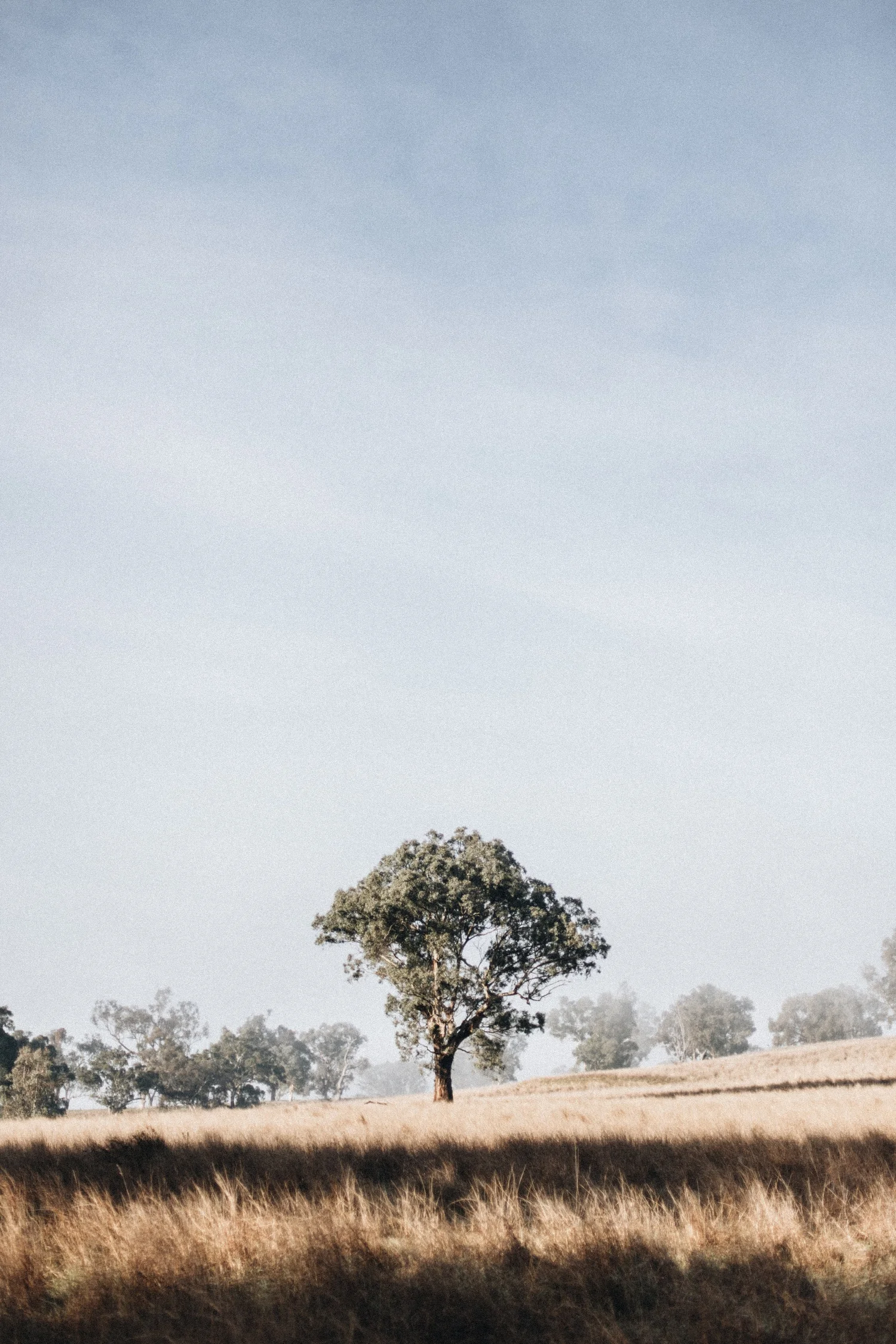 GALLERY — The Quarters. Jugiong