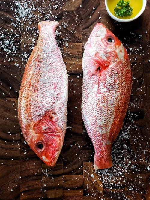 Red Snapper — Farmer's Market Online