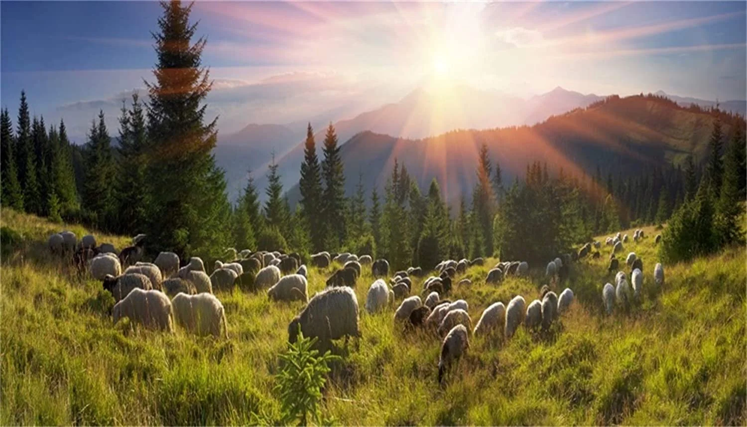 Targeted Grazing with Sheep and Goats — Farmer's Market Online