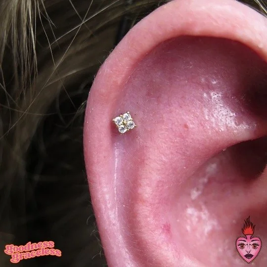 Brisbane's Premier Piercing Services — Lovesick Tattoo Studio