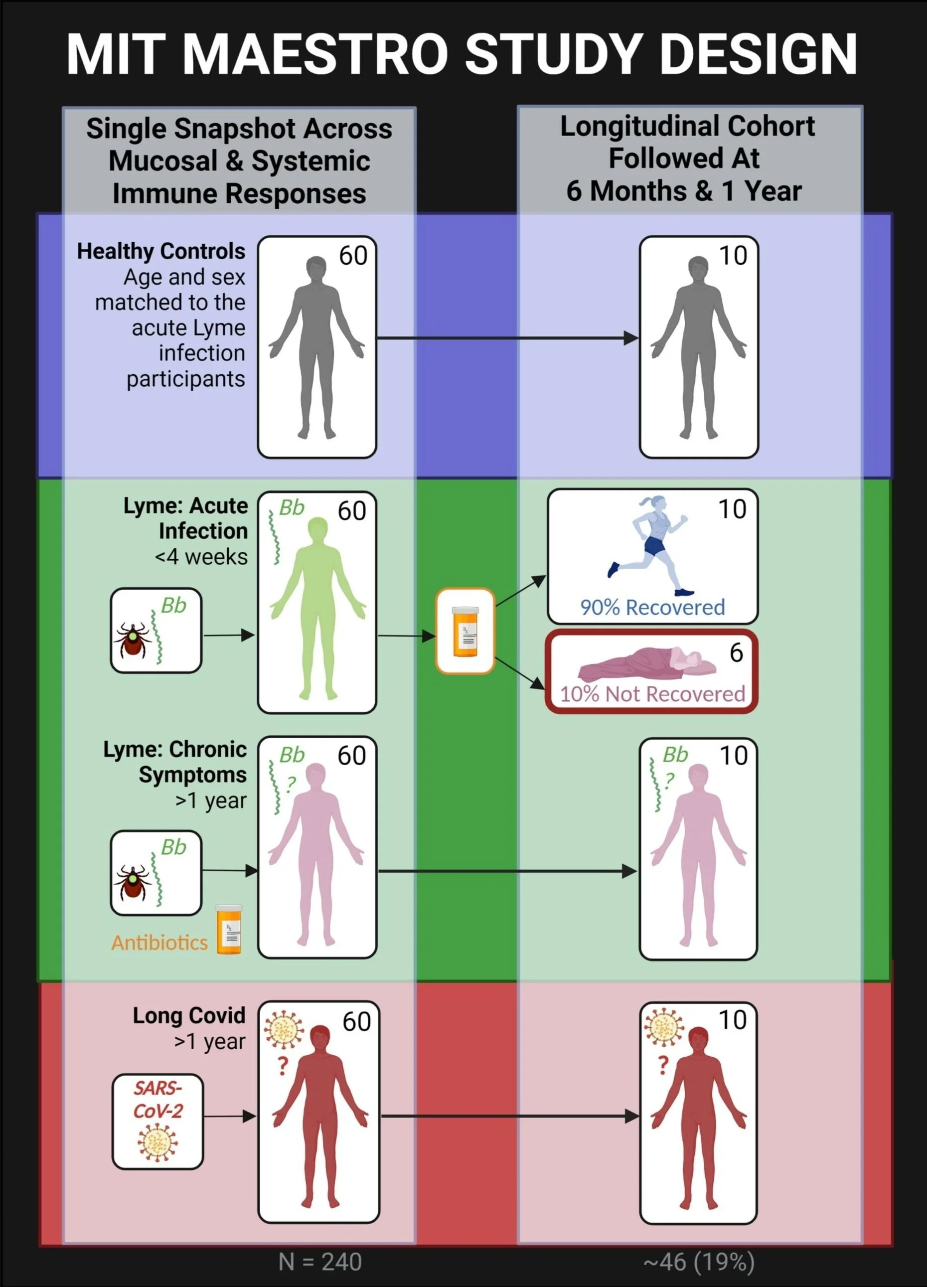 MIT MAESTRO Study — Tal Research Group