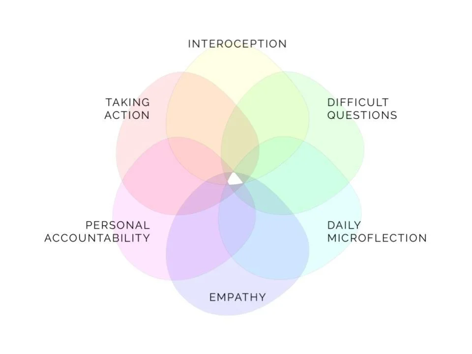 The 6 Concepts of Self Reflection — Raw. Orgonite, EMF Protection, Yoga ...