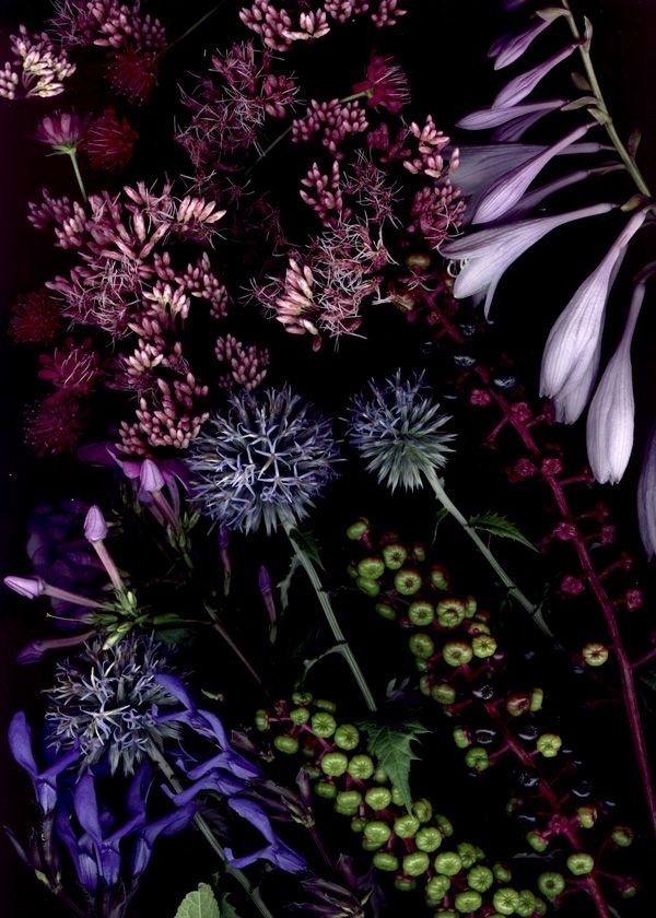 Purple: the perfect colour for your branding? (2025 guide)