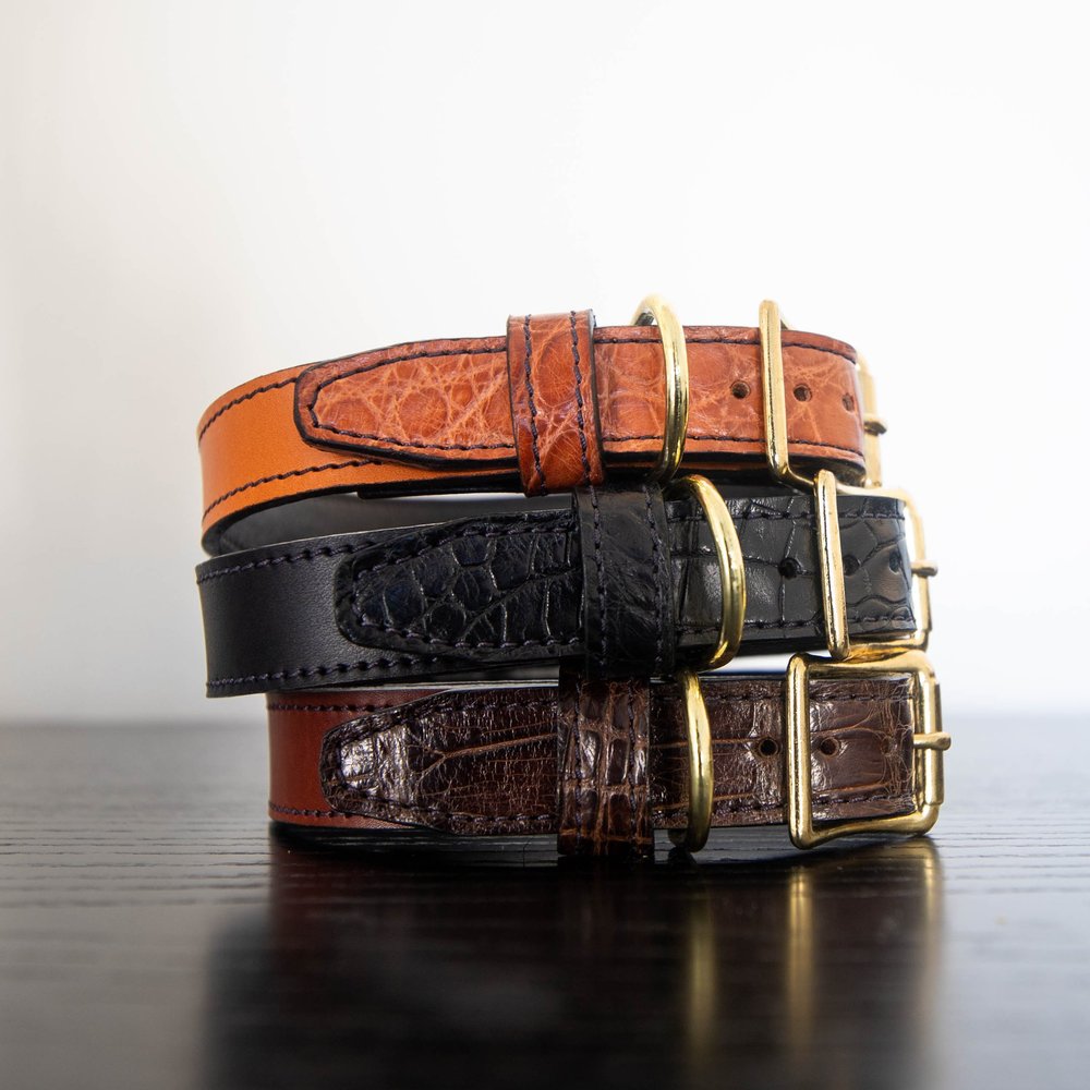 Alligator Dog Collars — Josue Leonardo