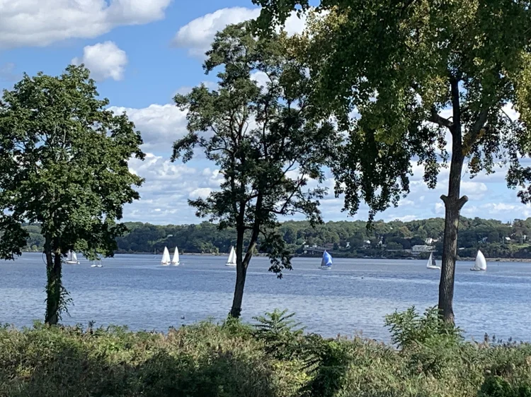 About Esopus — Esopus Democrats