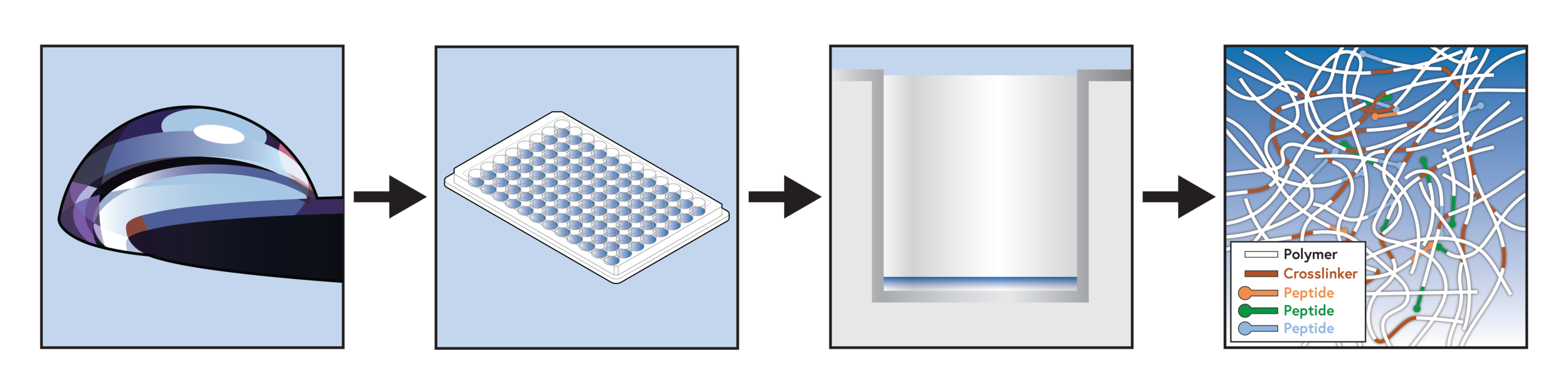 Synthetic Substrates — Stem Pharm
