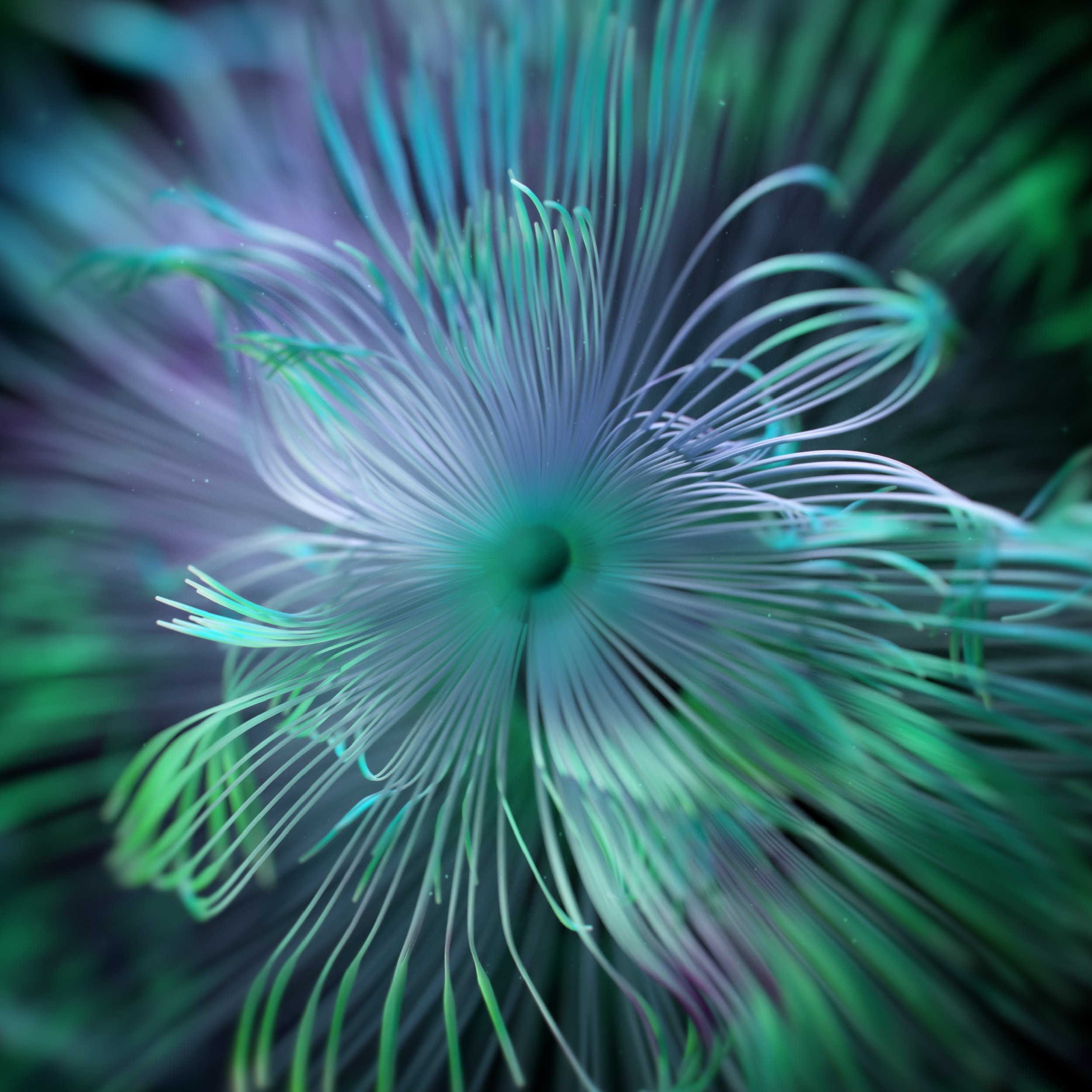 Afterlife Record Label and Releases — AFTERLIFE