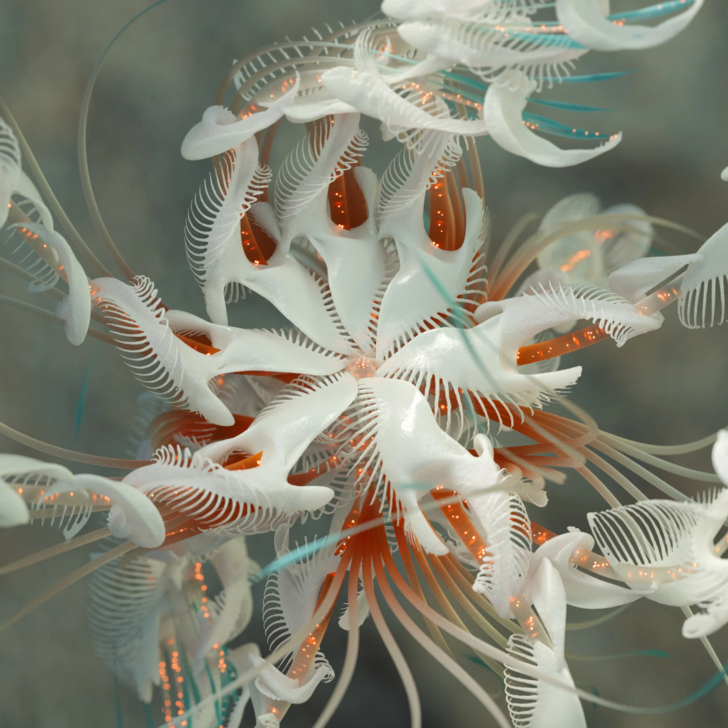 Afterlife Record Label and Releases — AFTERLIFE