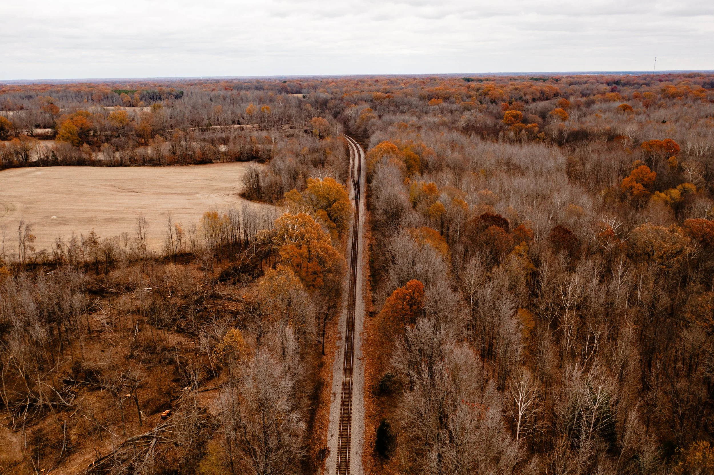 DEVELOPMENT — Dunavant Enterprises