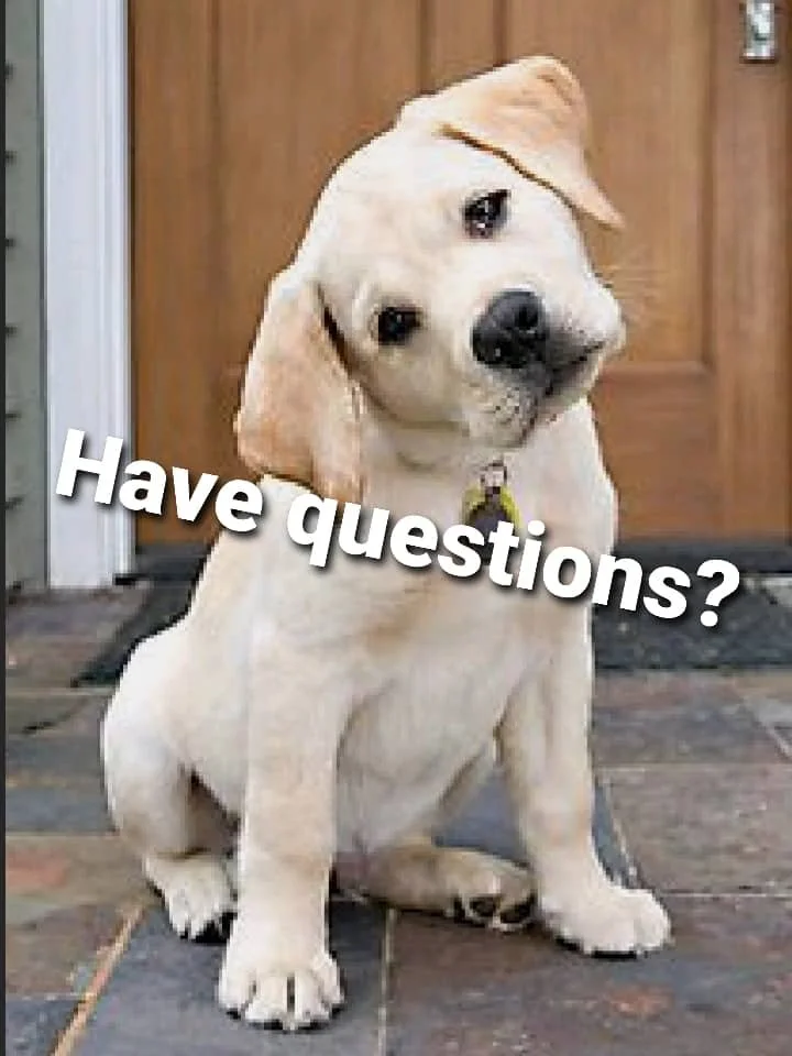 Houlton Humane Society