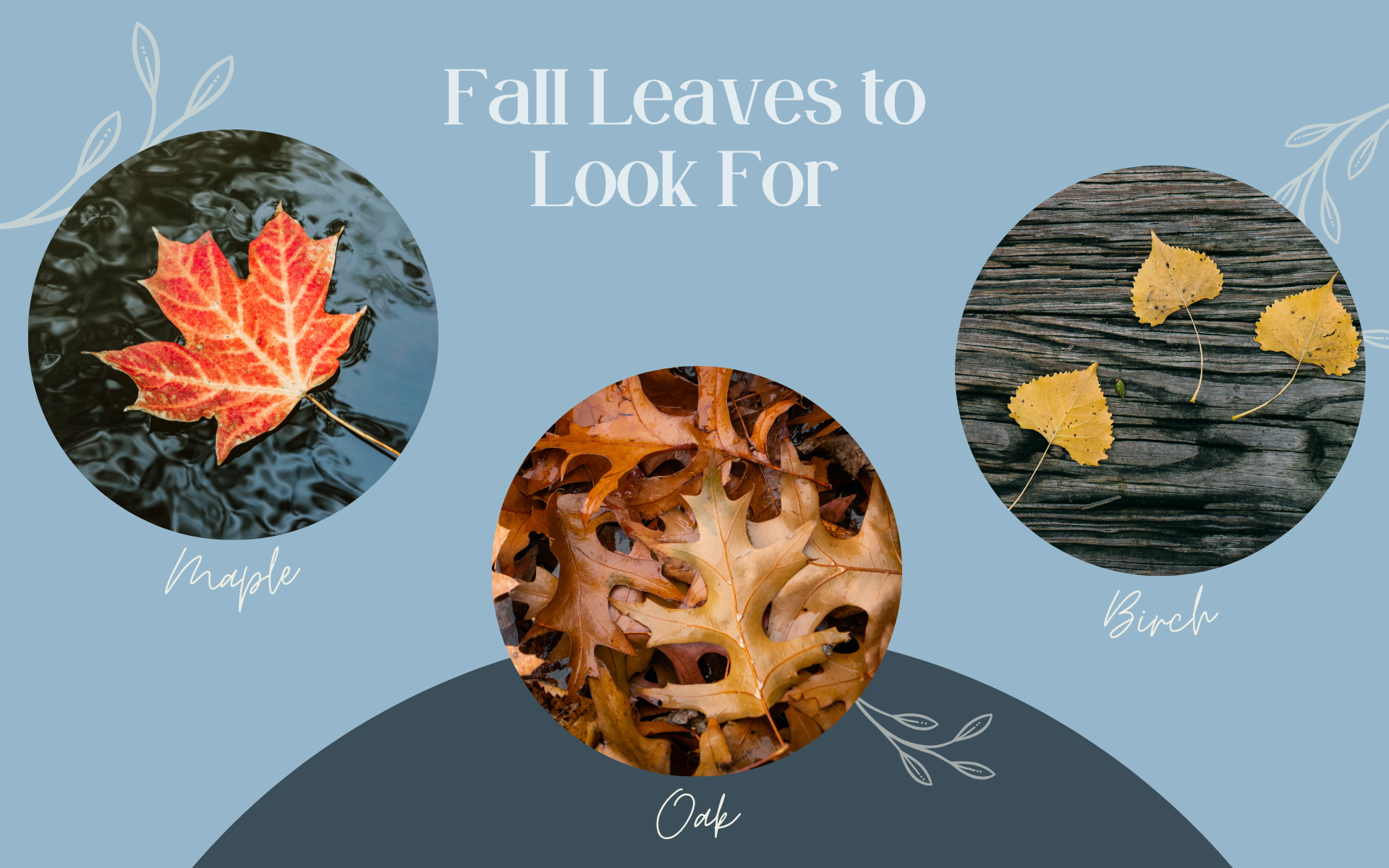 How To Press Fall Leaves And Flowers — Pressed in Time