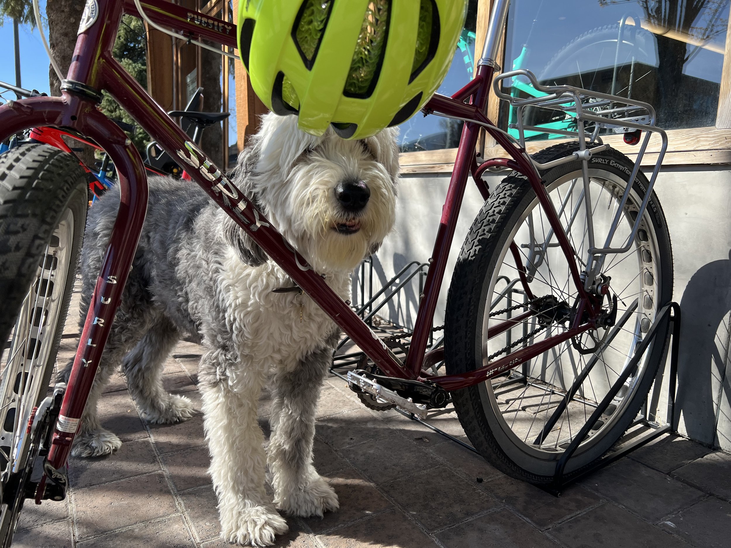 Contact 2 — The Trailhead Bicycles