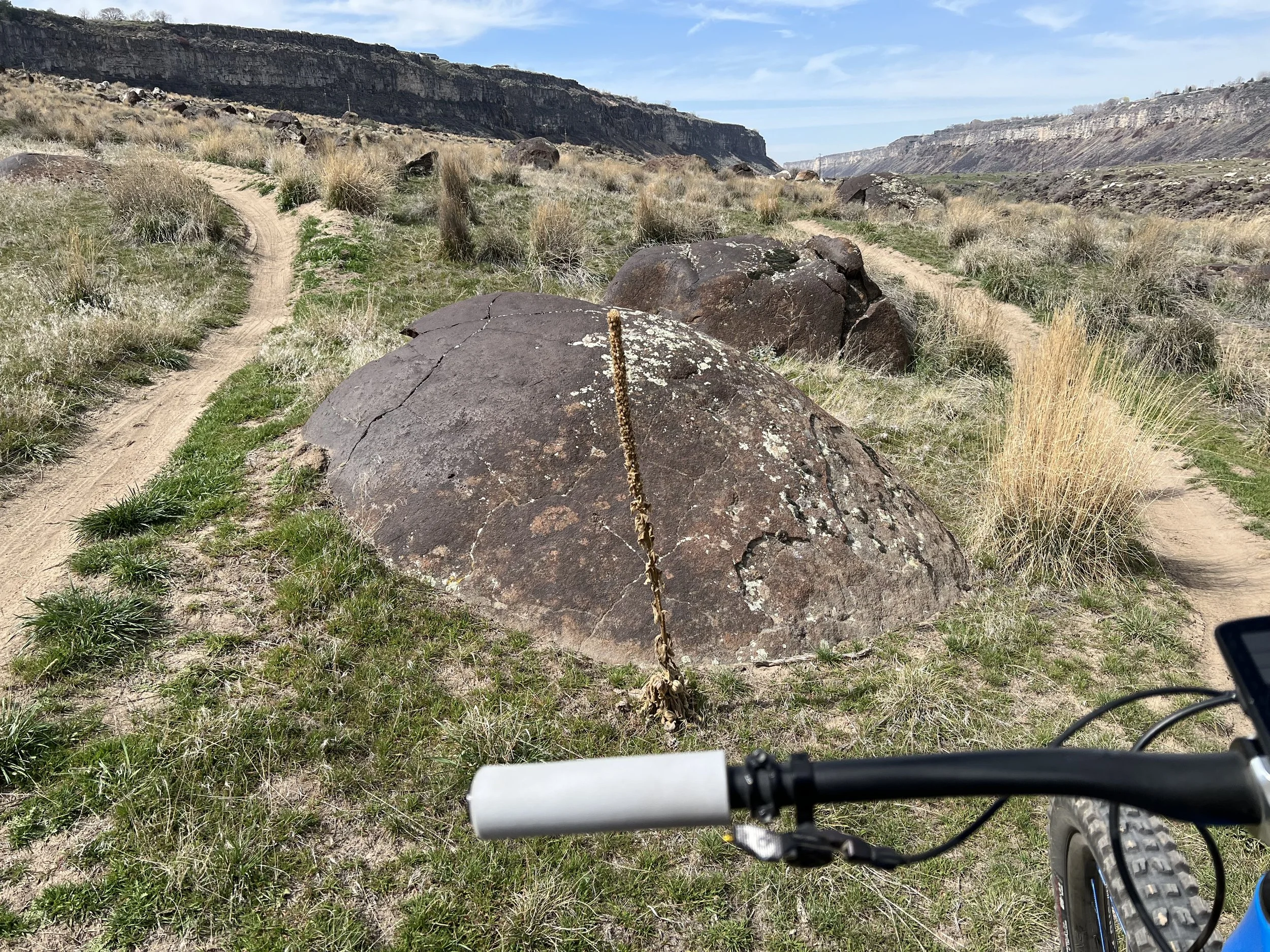 The Trailhead Bicycles