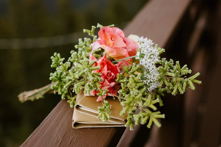 Fire Tower Lookout Elopement in Colorado Off of Mount Evans Road ...