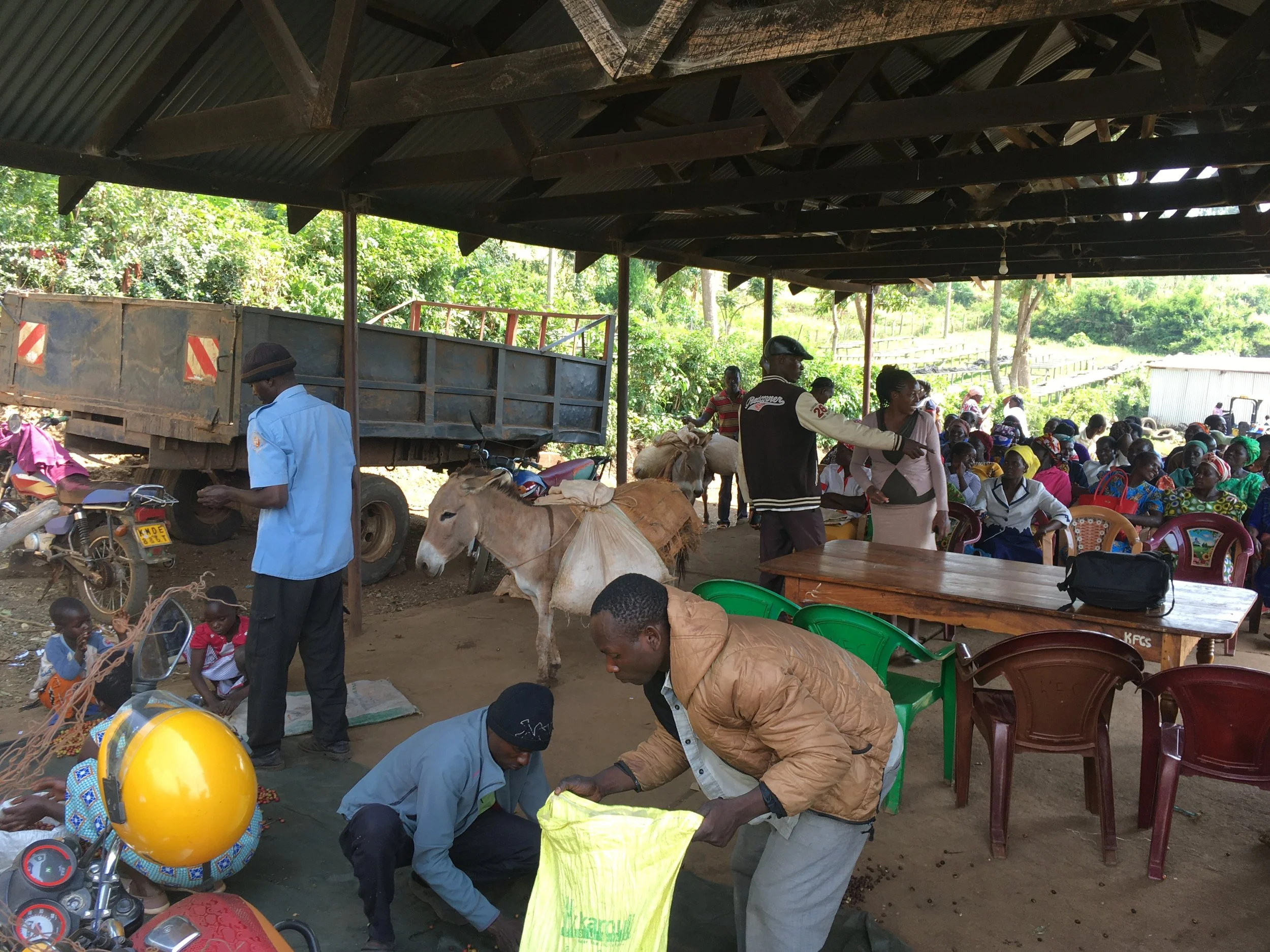 BasicNeeds Approach — BasicNeeds US