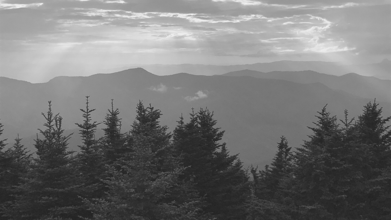 Tera Pruett - Unstoppable AVL