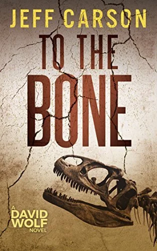 DAVID WOLF SERIES — Jeff Carson Books