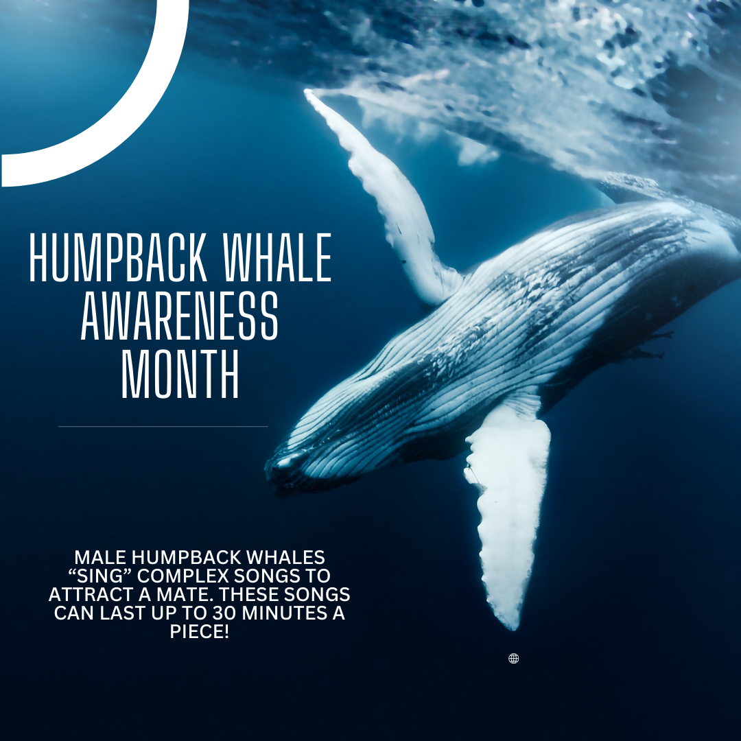 Genoa City Public Library