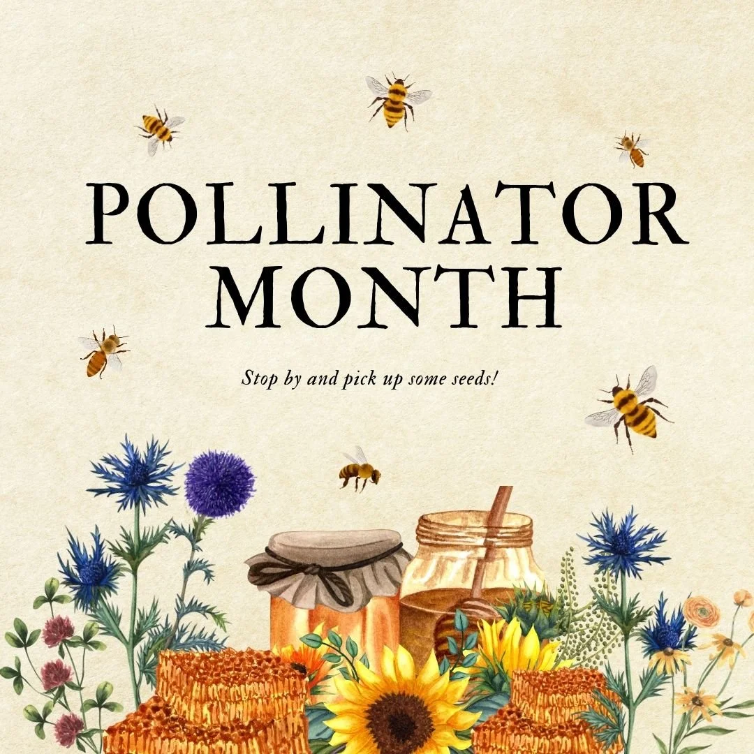 Genoa City Public Library