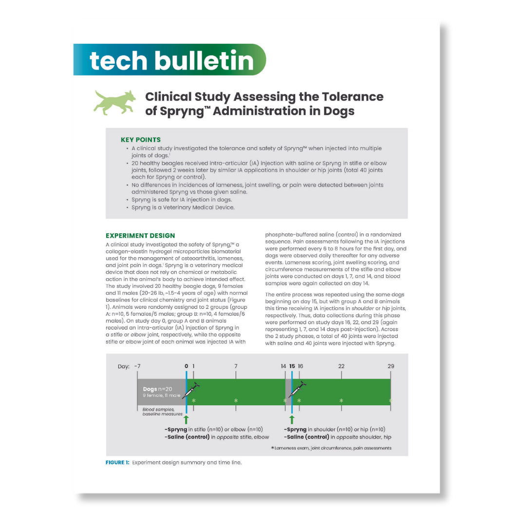 Small animal veterinarian resources — Spryng™ with OsteoCushion™ Technology