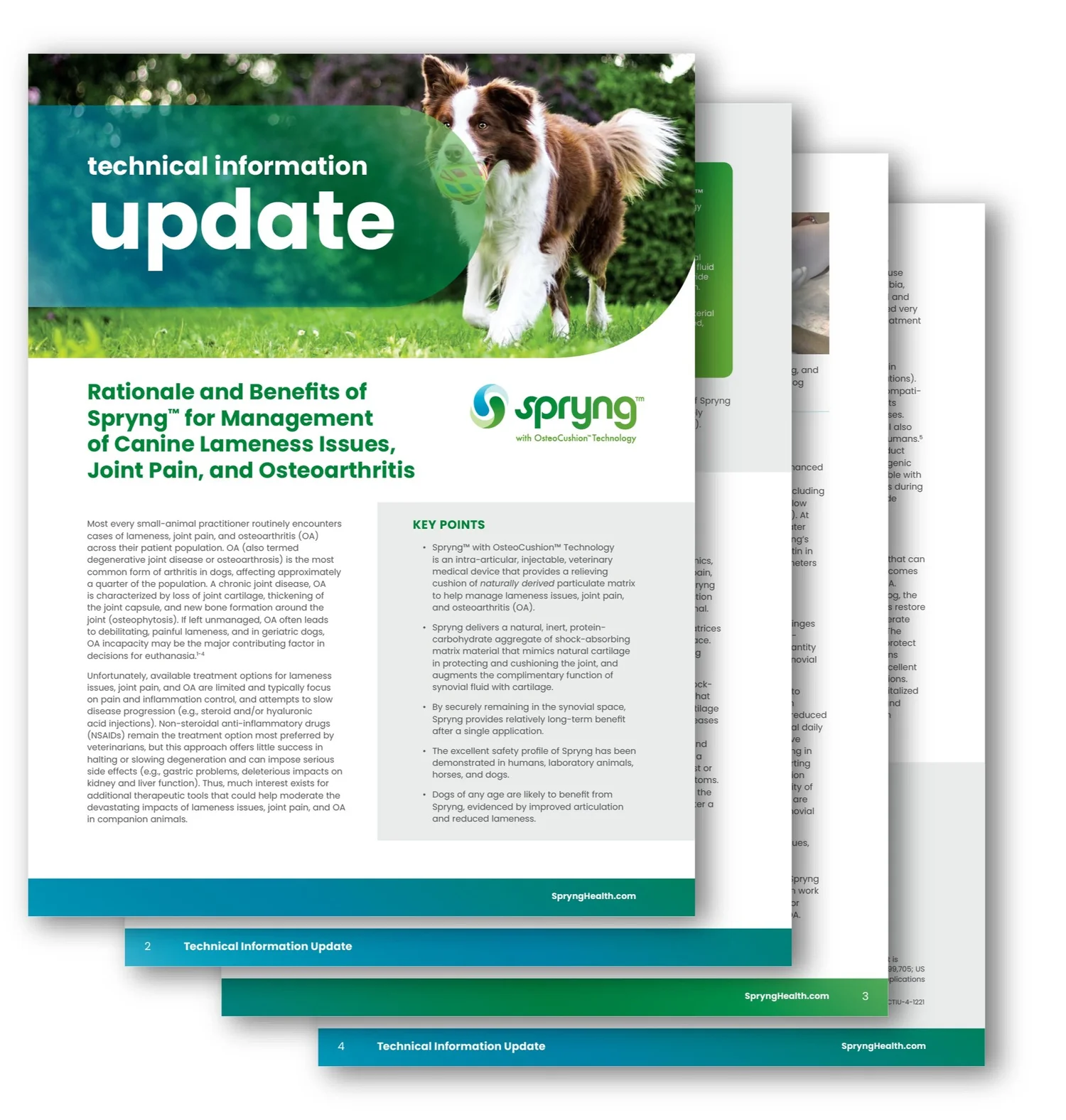 Small animal veterinarian resources — Spryng™ with OsteoCushion™ Technology
