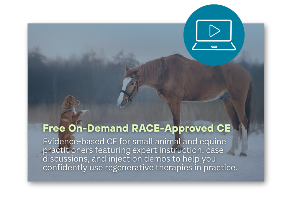 Spryng | Veterinary injection treatment for lameness, joint pain and OA