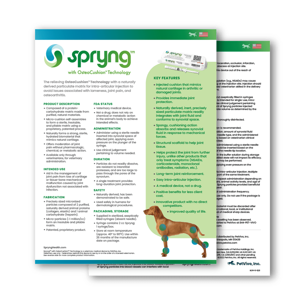 Small animal veterinarian resources — Spryng™ with OsteoCushion™ Technology