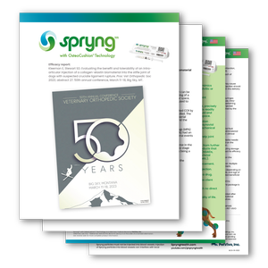 Spryng | Veterinary injection treatment for lameness, joint pain and OA