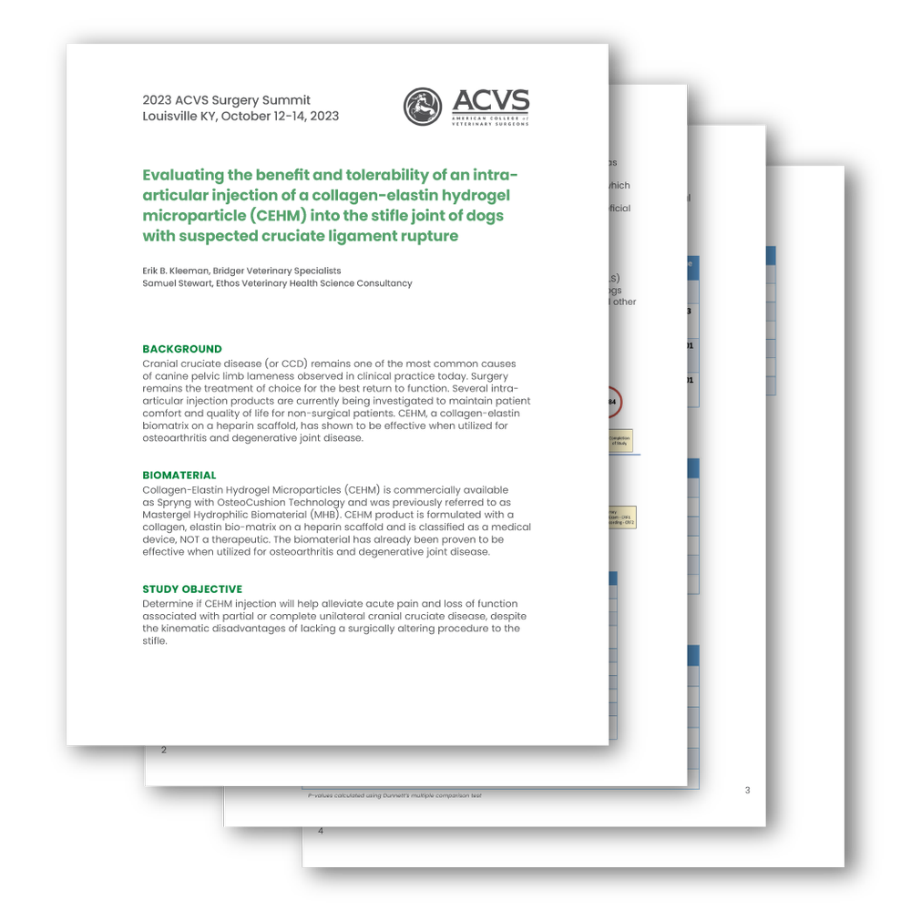 Spryng | Veterinary injection treatment for lameness, joint pain and OA