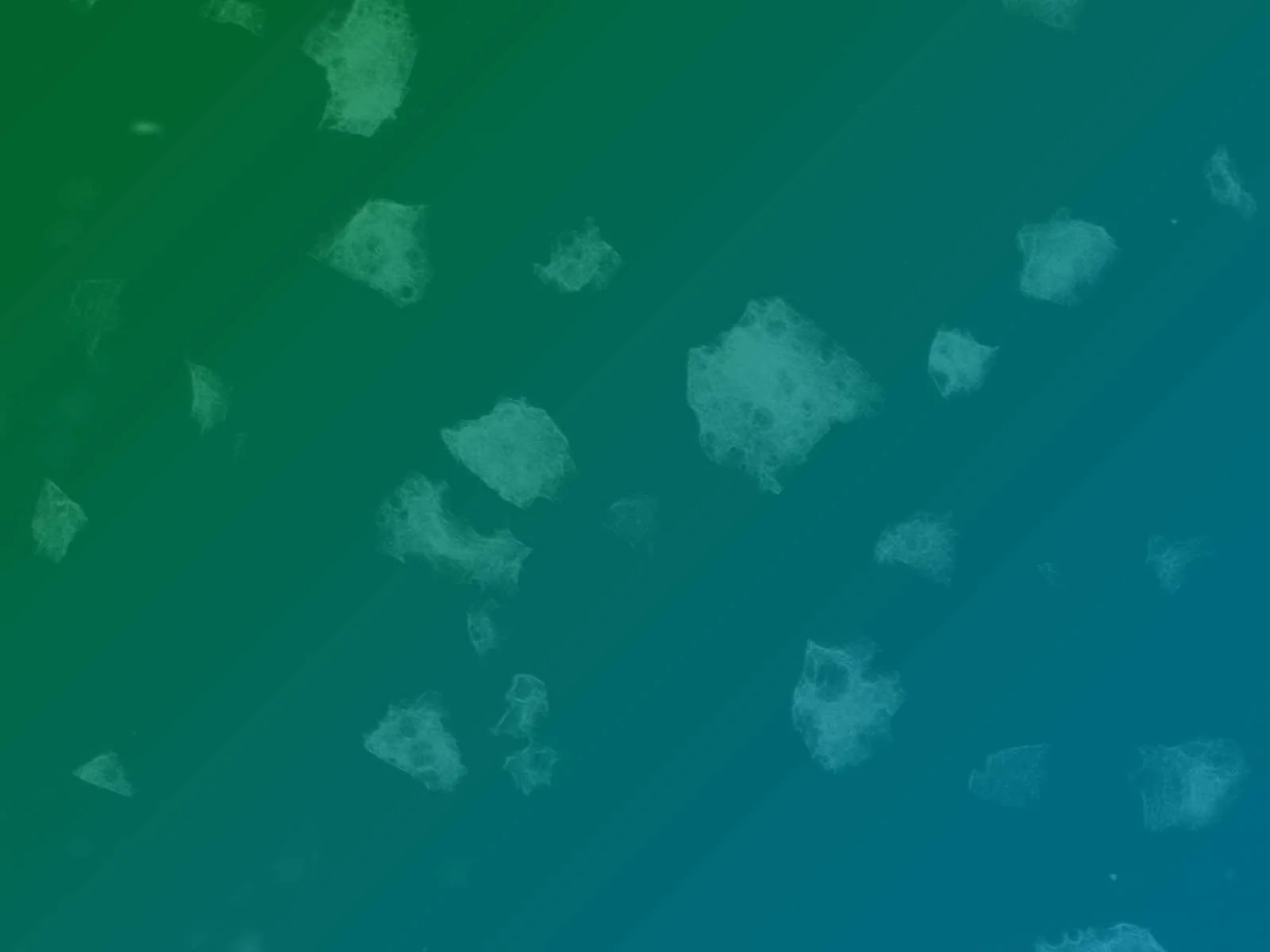 Spryng Health | Small Animal — Spryng™ with OsteoCushion™ Technology