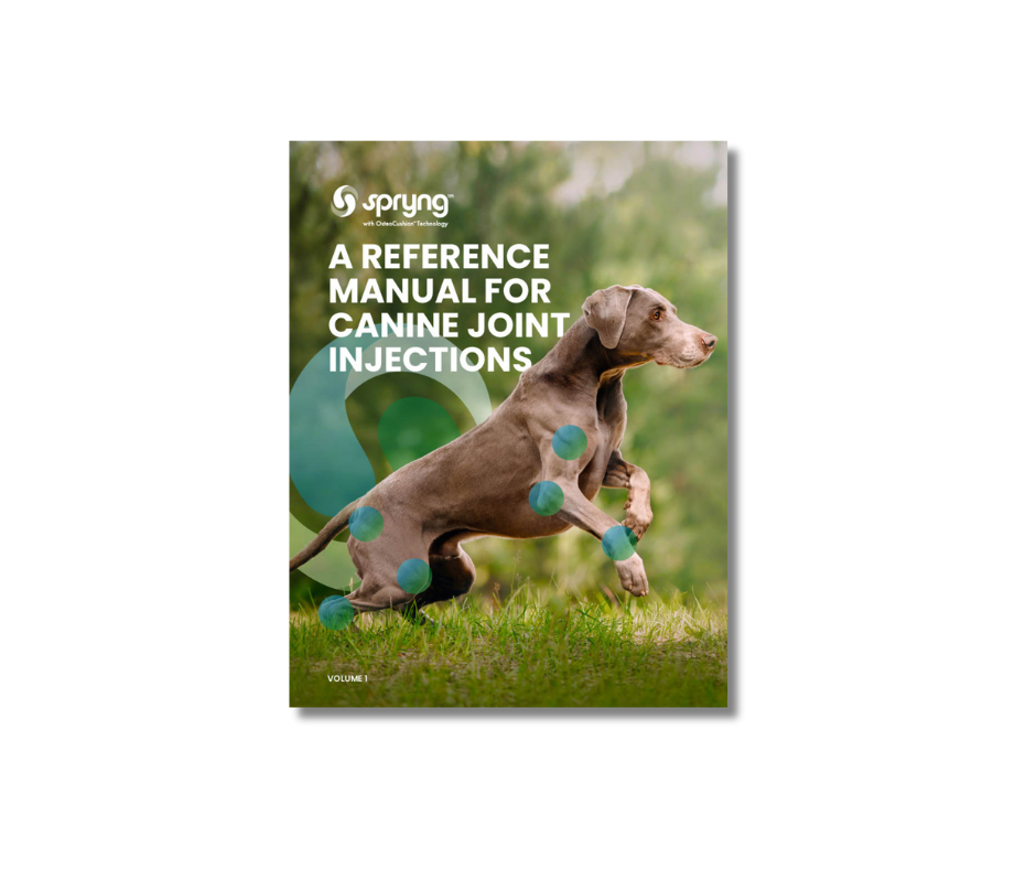 Small animal veterinarian resources — Spryng with OsteoCushion Technology