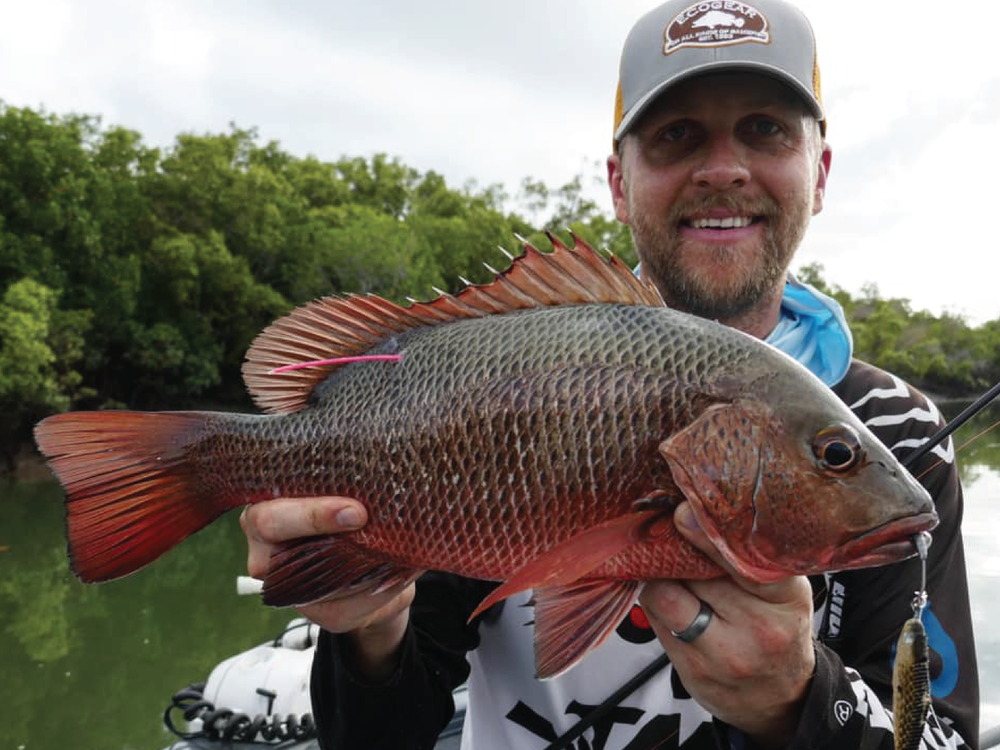 Mangrove Jack — Hooked on Mackay