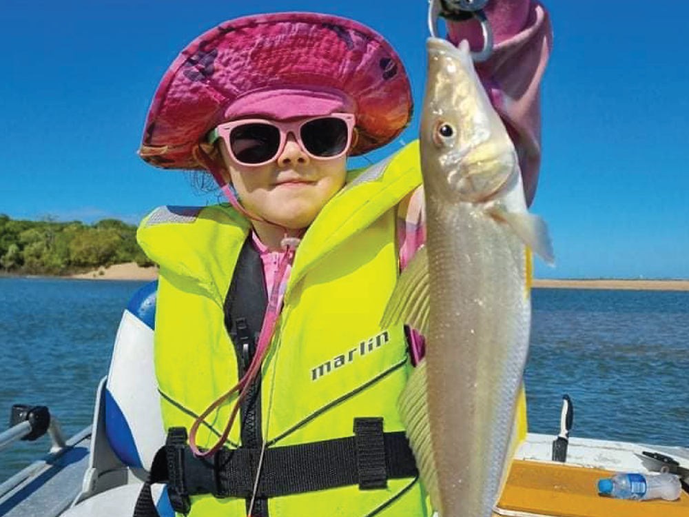 Whiting — Hooked on Mackay