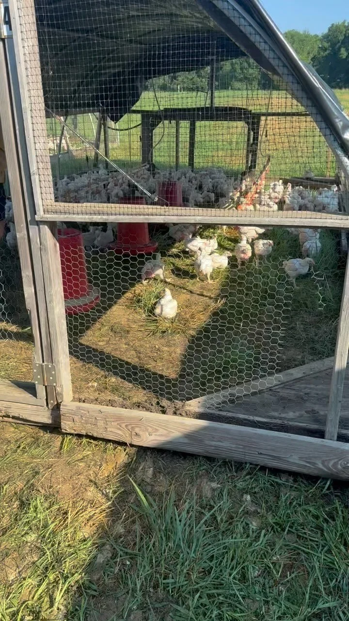 Normanton Farms | Sustainable Agriculture | Grass-Fed Beef, Pork, and ...