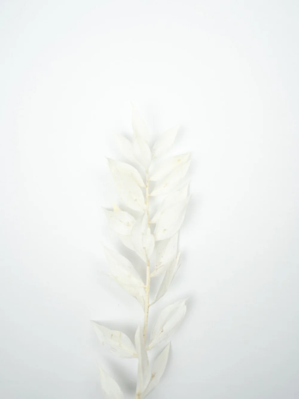 Healing Breathwork | Simply Breathe with Jen | Bothell, WA 98021