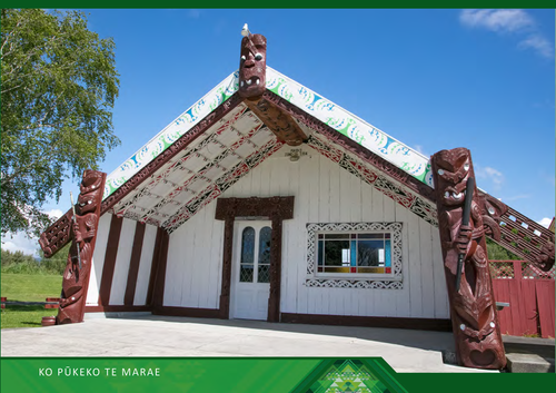 Ngāti Pūkeko — Nga Hapū o Ngāti Awa